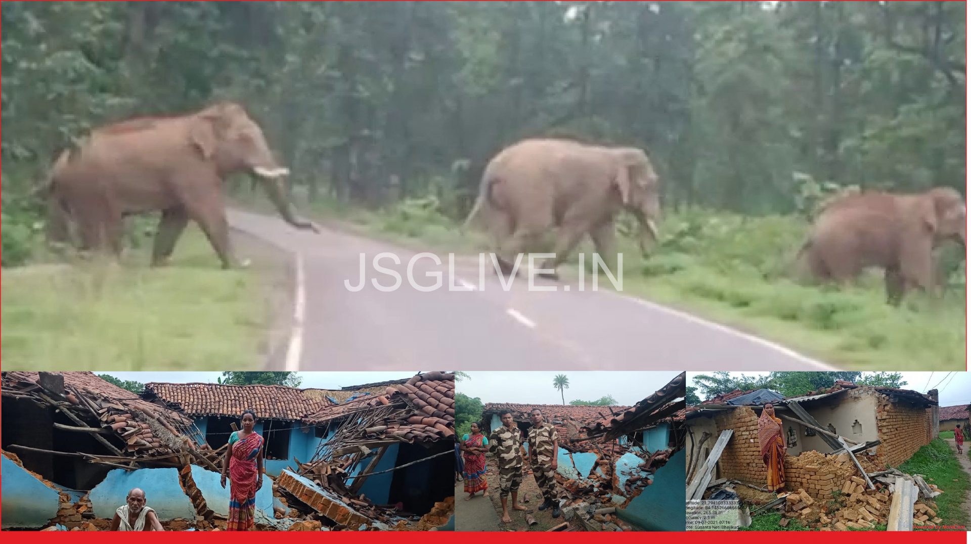 Elephants damages nine houses in Kolabira Block | www.jsglive.in